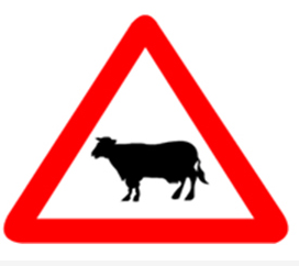 امتحان نظري لتدريب السواقة مجاني - موقع وتد التعليمي